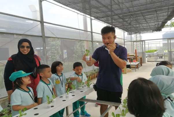 Top 16 Educational Field Trips for Preschoolers in Singapore